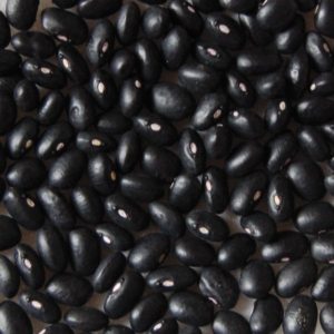 Vegetables - Eat Wyoming