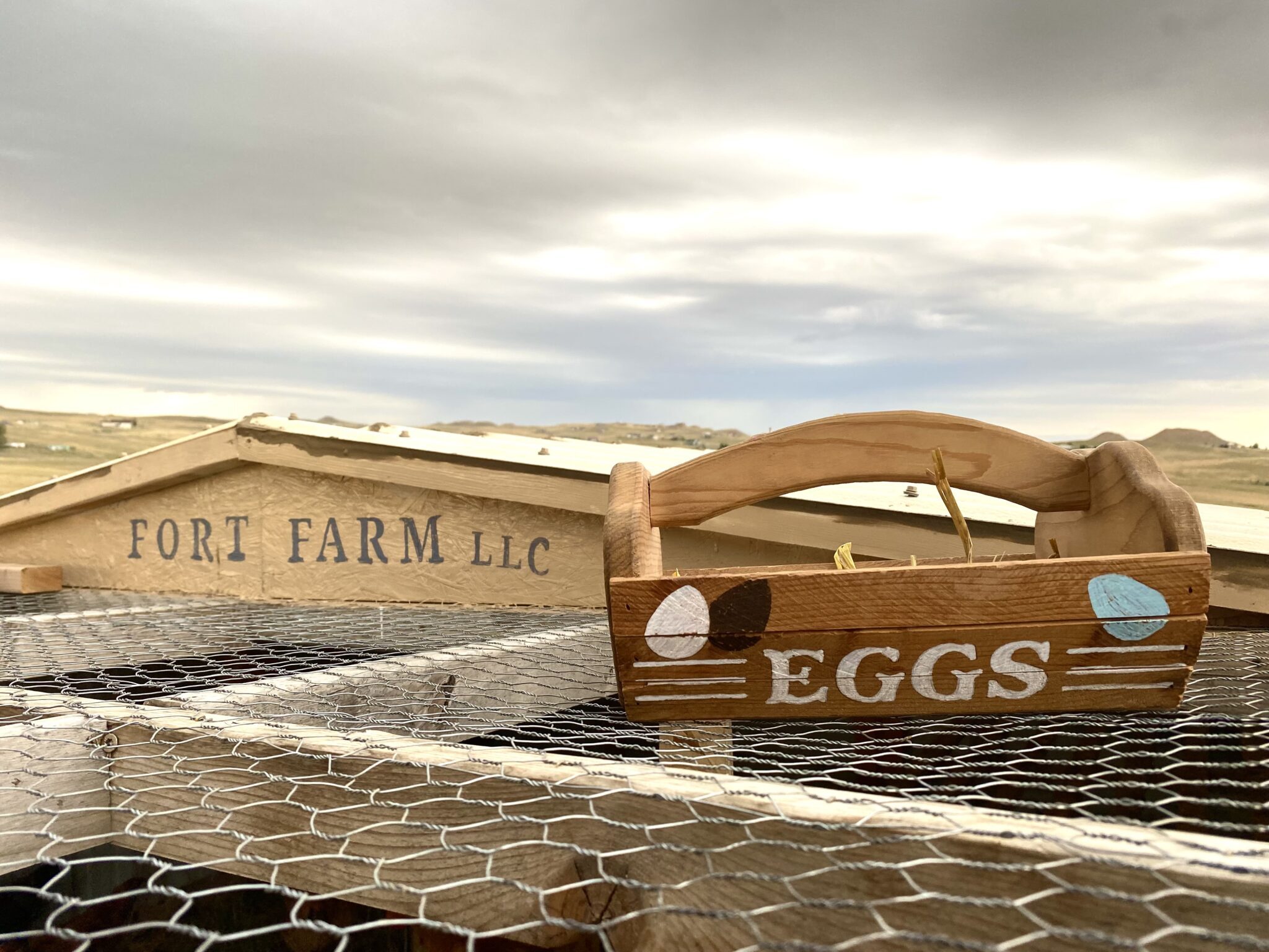 Fresh Clean Eggs - Eat Wyoming